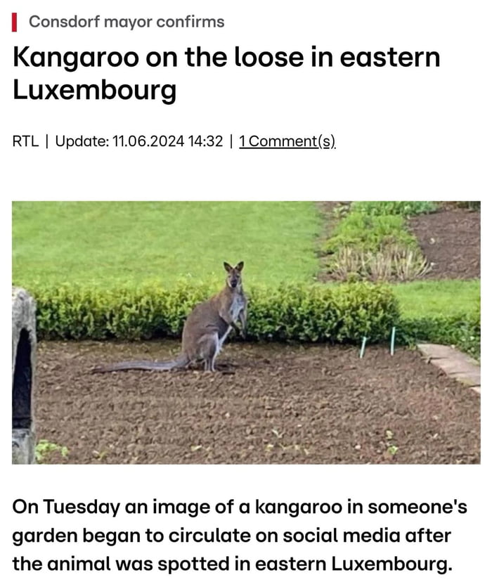 Completely normal phenomenon. Must have escaped from austria. - 9GAG