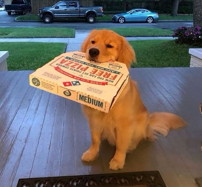 When you tell the pizza company to send their cutest delivery boy - 9GAG
