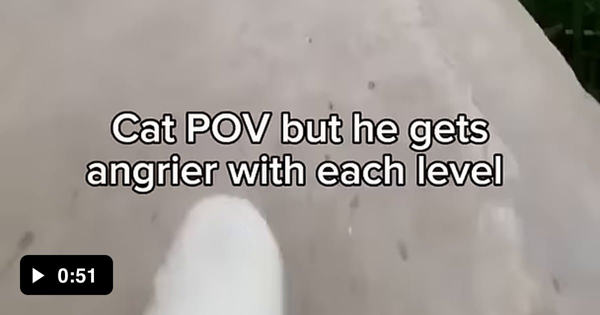 Cat POV, but he gets angrier with each level (Credit PurelyYou2) - 9GAG