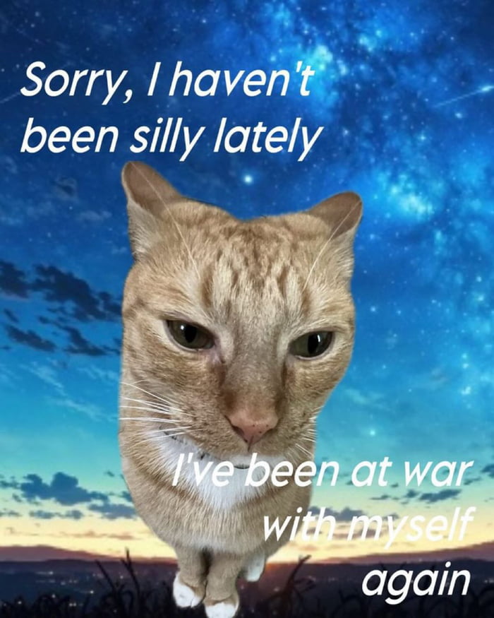 When life gets too existential, even for a cat. - 9GAG