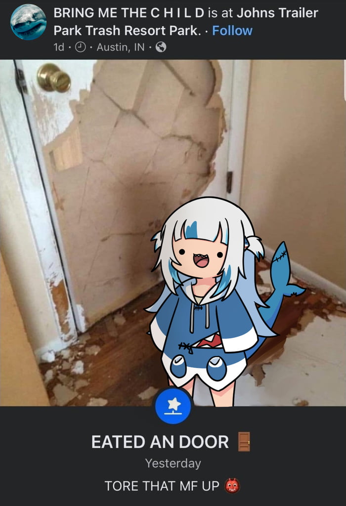 We still posting pet photos? - 9GAG