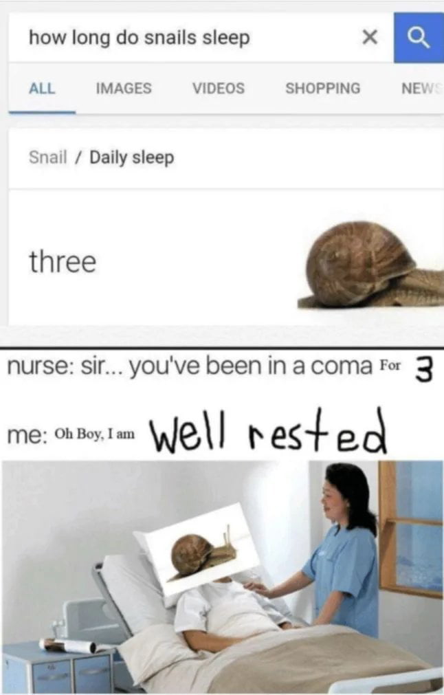 Wish I was a snail, all slimy and well rested after 3 - 9GAG