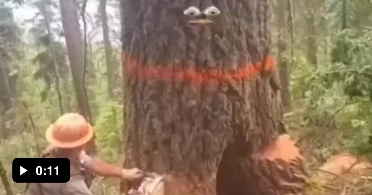 Rage against the chainsaw - 9GAG