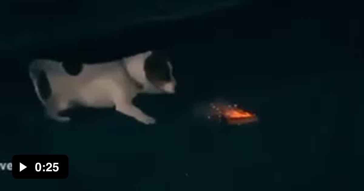 Must be Hans dog - 9GAG