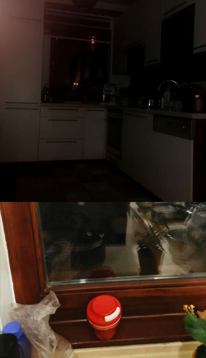 Was watching a horror movie when I saw this and shit my pants. Whose cat is this? - 9GAG