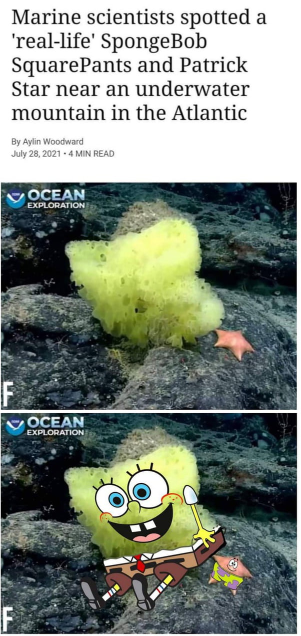 Ooh, who lives in a pineapple under the sea? - 9GAG