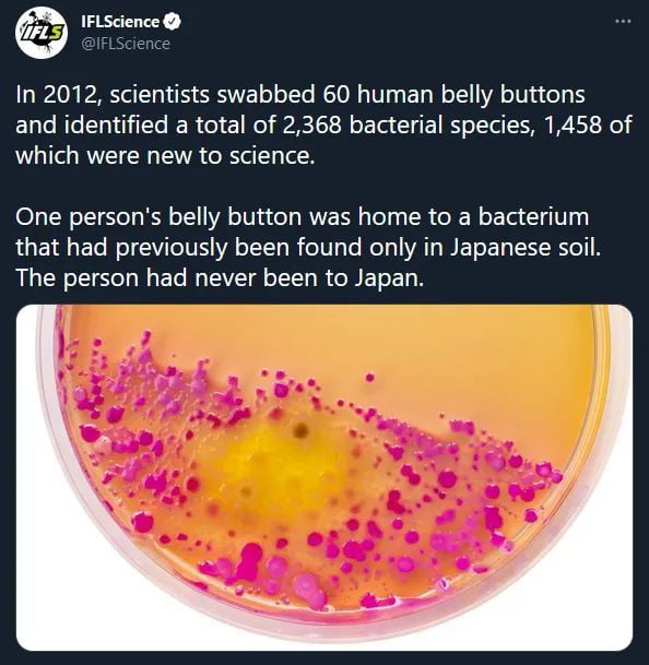 Wash your belly Button today! - 9GAG