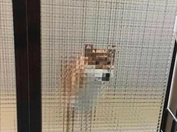 Low resolution dog - 9GAG