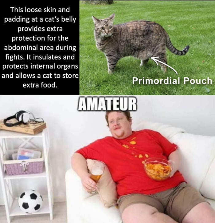 It's my primordial pouch. - 9GAG