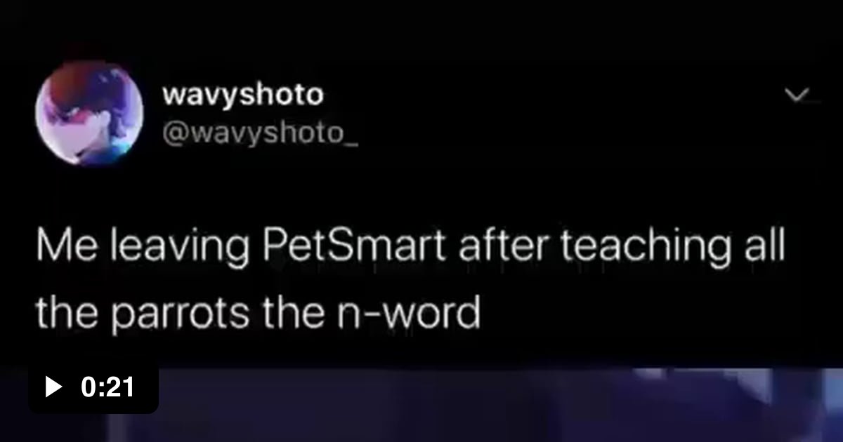 Squawk squawk brother - 9GAG