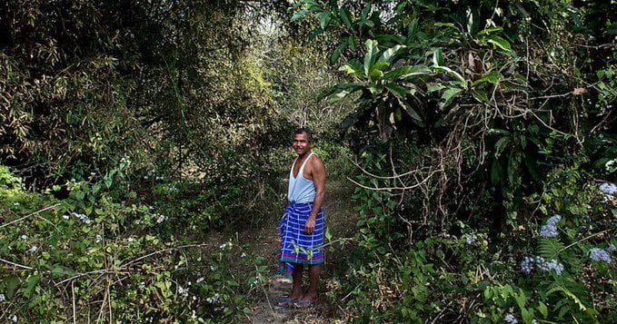Since 1979, in India, Jadav Payeng has been planting trees every day in ...