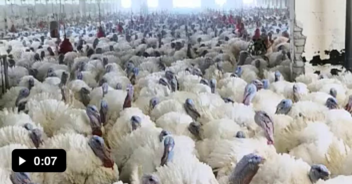 The 4th Reich. - 9GAG