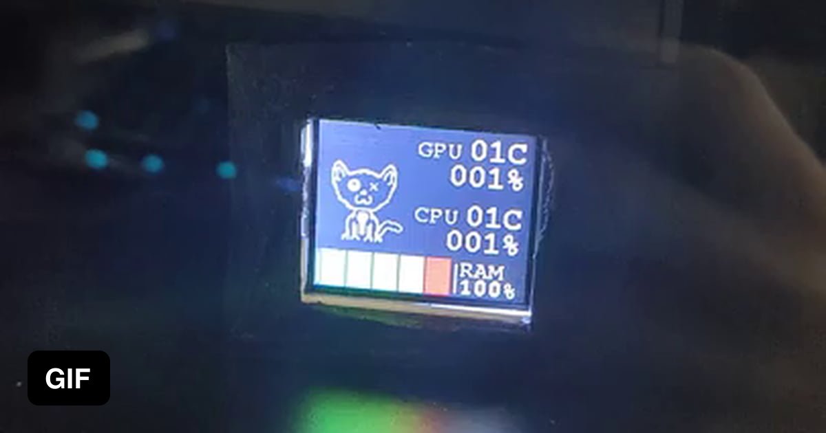 Cat approved GPU support - 9GAG