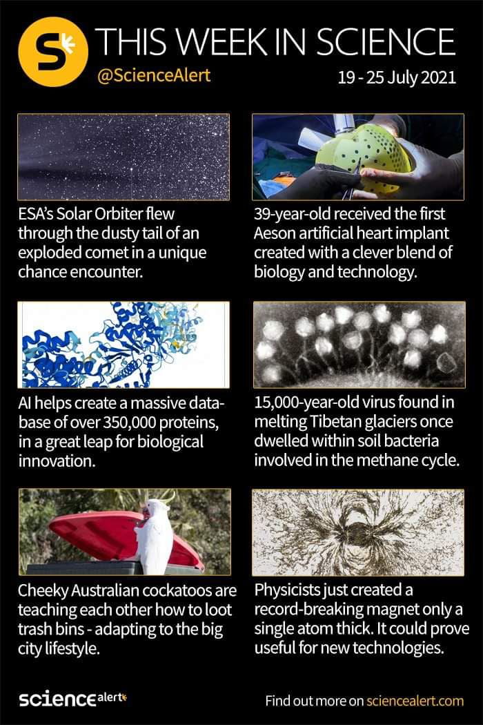 Weekly science by science alert - 9GAG