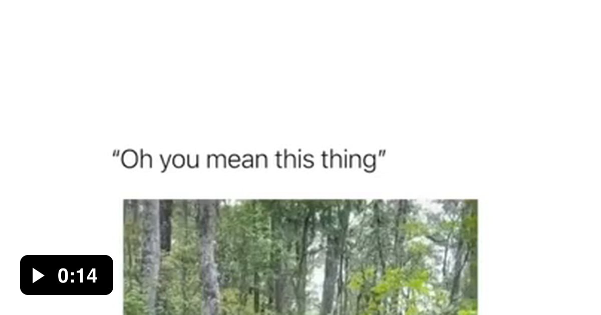 Rocket Vs Loki in RL. - 9GAG