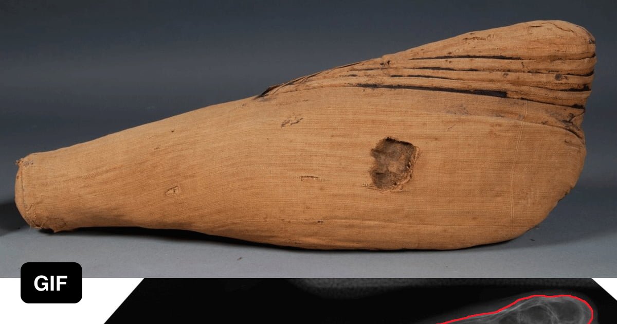 Mummified Ibis. Between roughly 650 and 250 B.C., ancient Egyptians ...