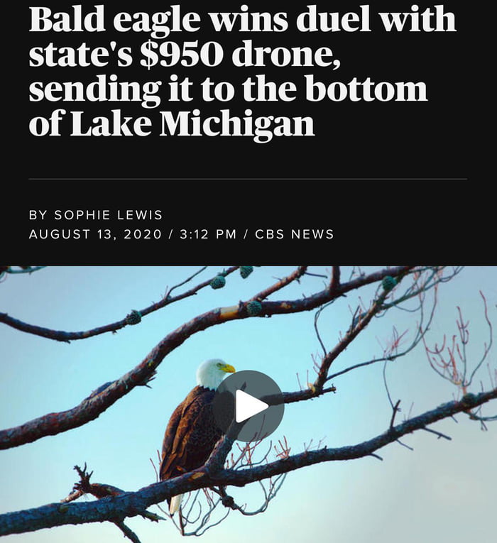 Bald eagle bullies drone - 9GAG