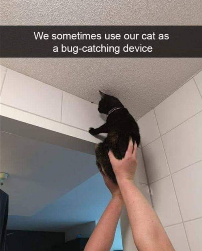 Bug-catching device - 9GAG