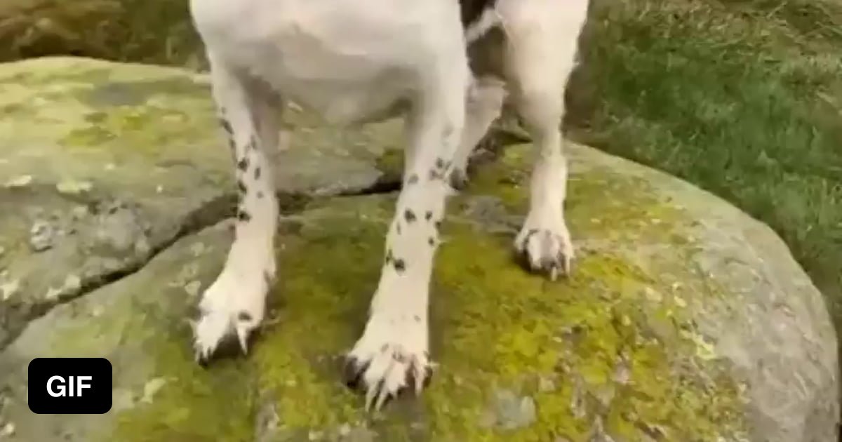 It’s hecking windy - 9GAG