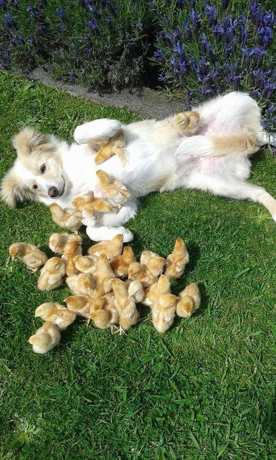 What a chick magnet! - 9GAG