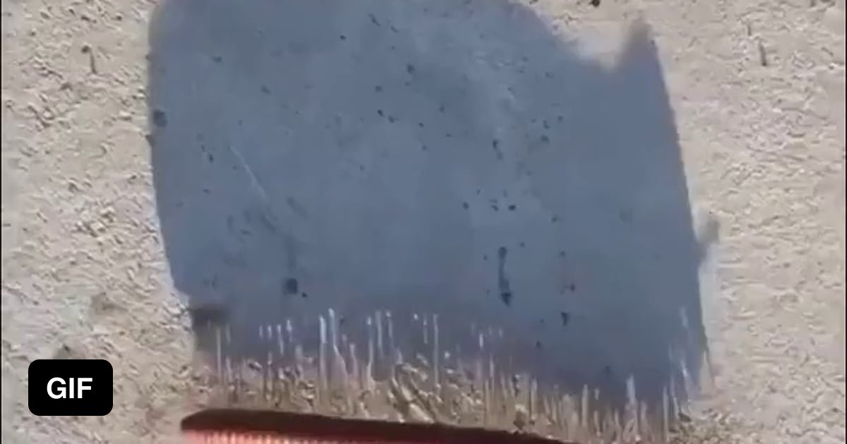 Afternoon Shadow Of A Millipede - 9GAG