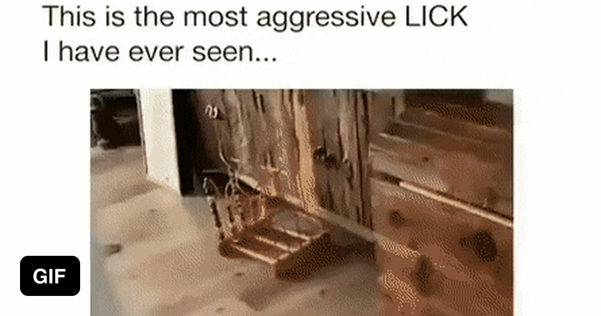 The aggressive lick - 9GAG