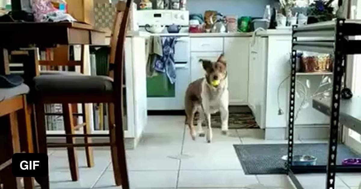 Tippy tap dance - 9GAG