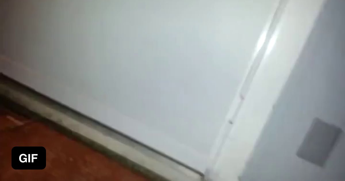 Spring cleaning is canceled - 9GAG