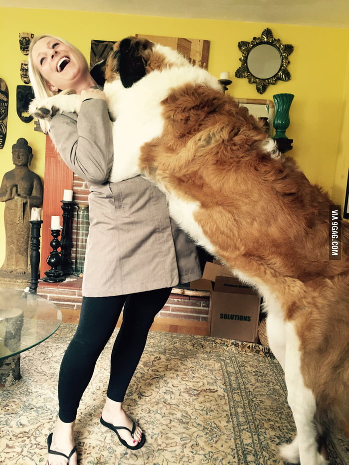 A few months apart,"You got so tiny!" - 9GAG