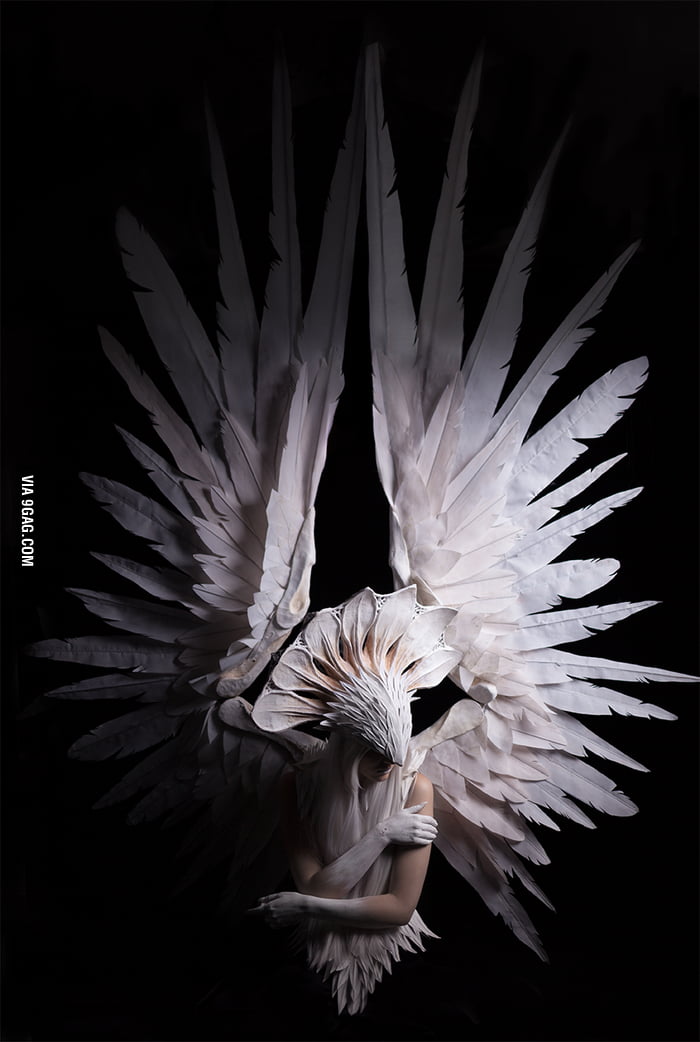 Platinum Angel - 9GAG