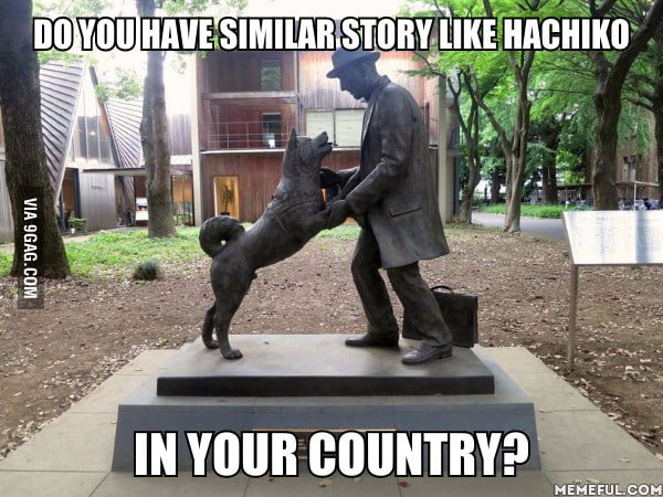 There are loyal dogs from around the globe, any dog comes to your mind ...