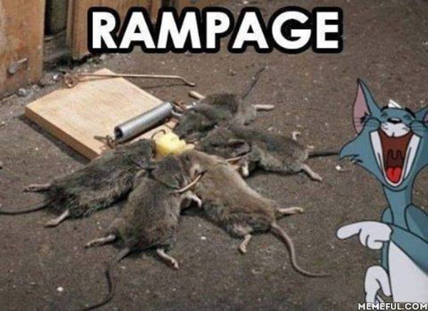 The very Best mouse trap since the 1980's. - 9GAG