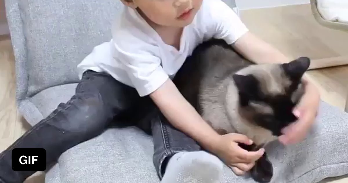 *sigh* I suppose I love you too, little human. - 9GAG