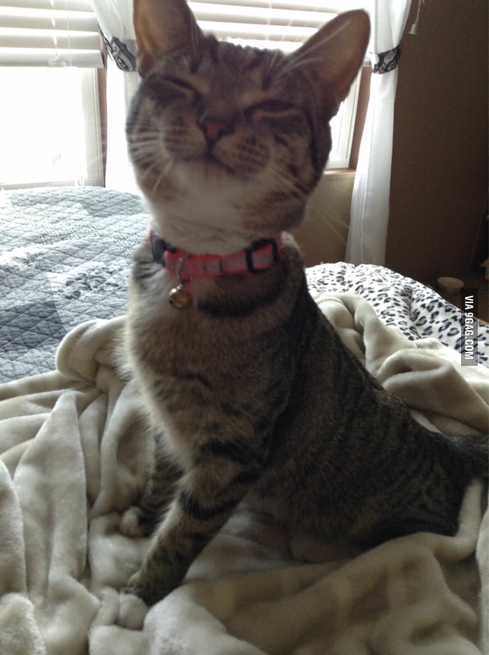 She always makes this face… "Duuude, I'm so high right meow" - 9GAG