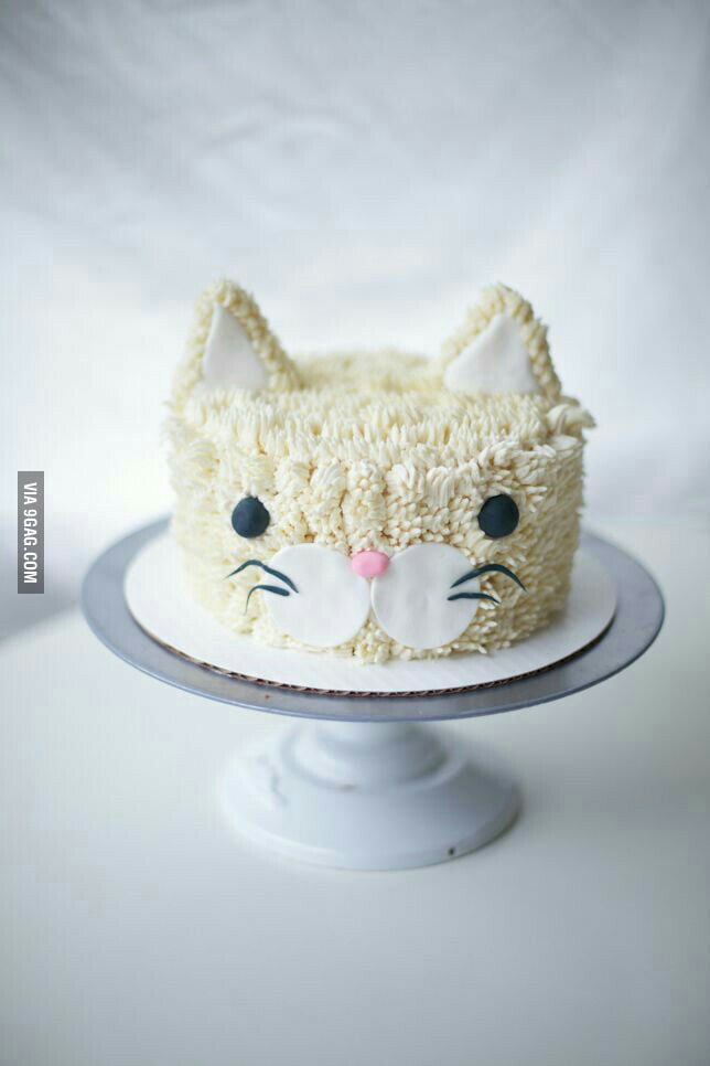 It's my Birthday, have some cake! - 9GAG