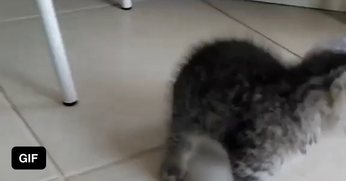 Beware... The claw! - 9GAG