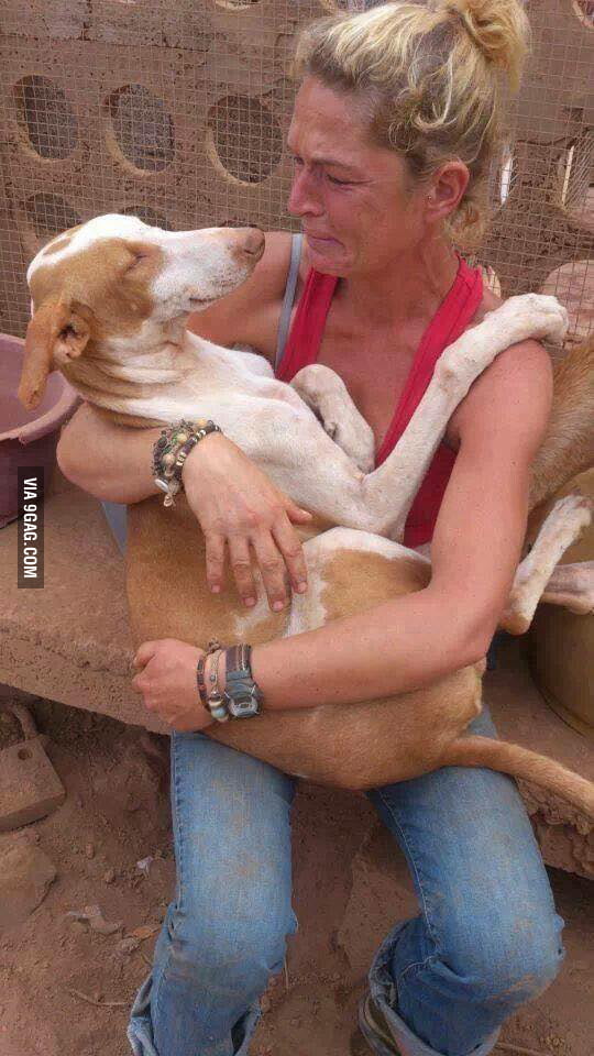 This lady went to an animal shelter in Spain, the dog climbed onto her lap and her heart broke ...