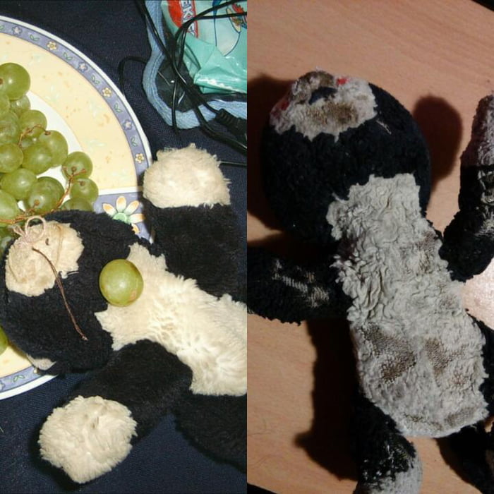 The same plush cat over 12 years. Well loved. - 9GAG