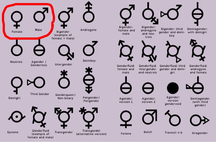 Only 90’s kids will remember these genders - 9GAG