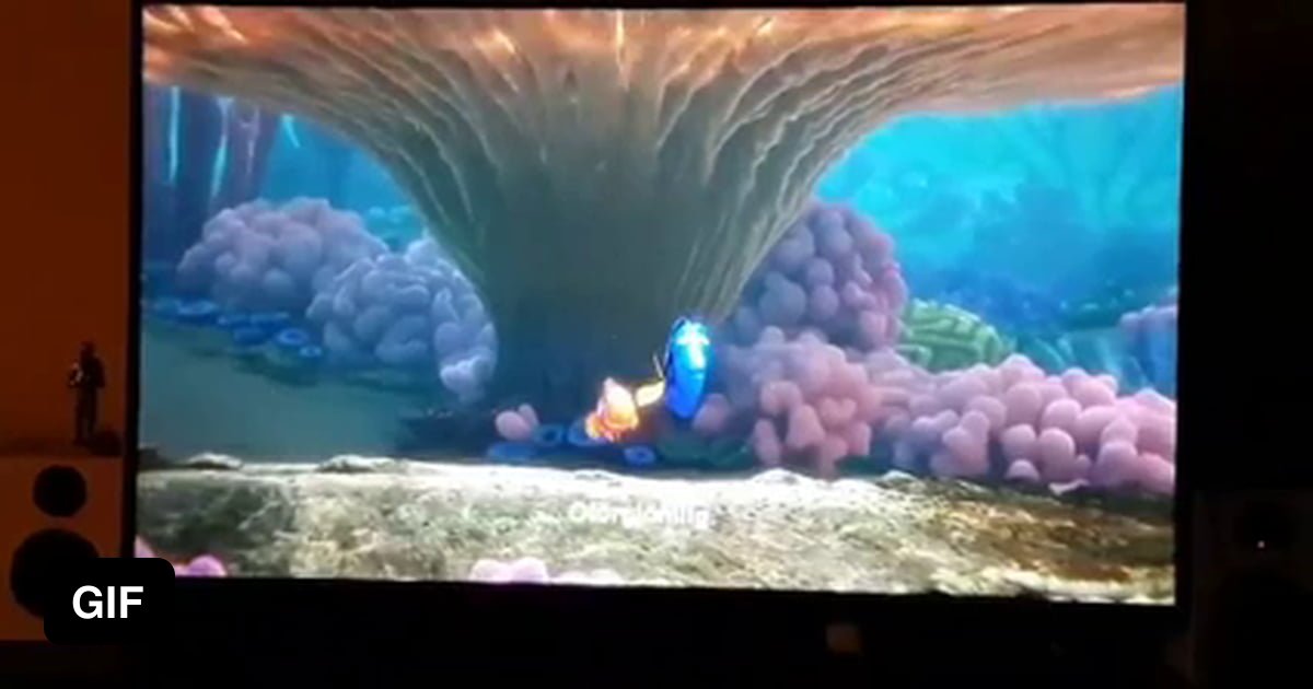 The Swedish ending of “Finding Dory”. - 9GAG