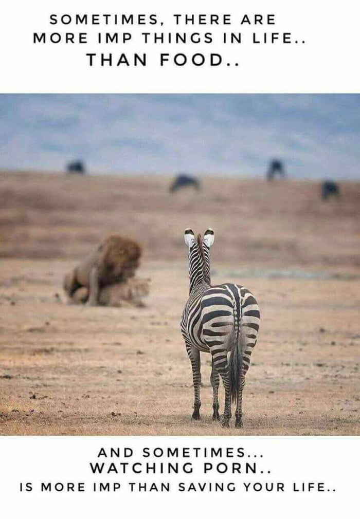 Important things in life... - 9GAG