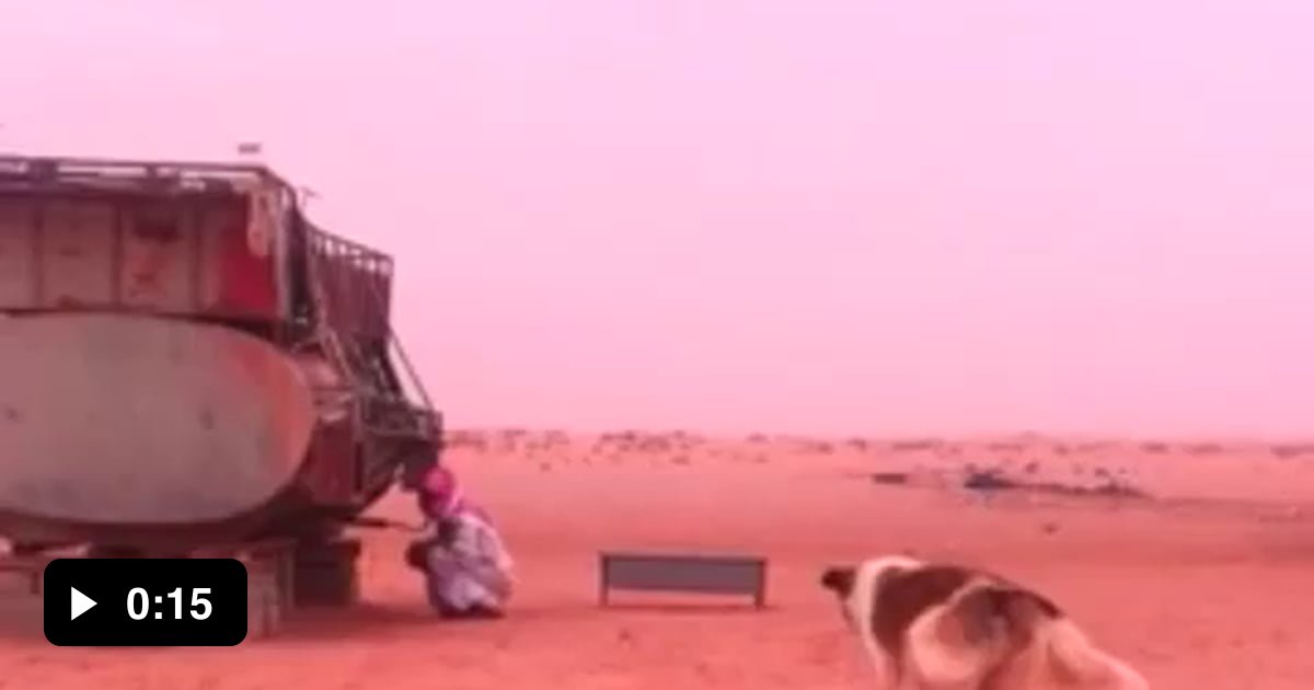 Worst time for doggo attack - 9GAG