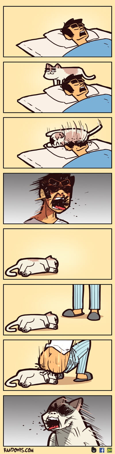 Payback, puss! - 9GAG