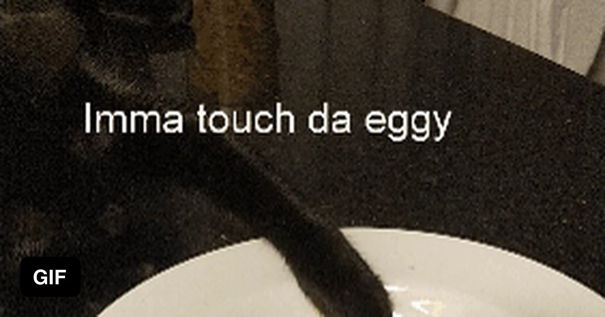Imma touch da eggy - 9GAG