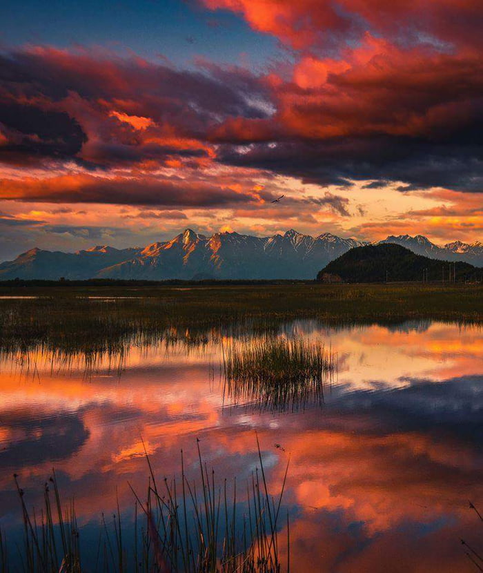 Glorious sunset in the Matanuska Valley, Alaska. Fire in the Sky! - 9GAG