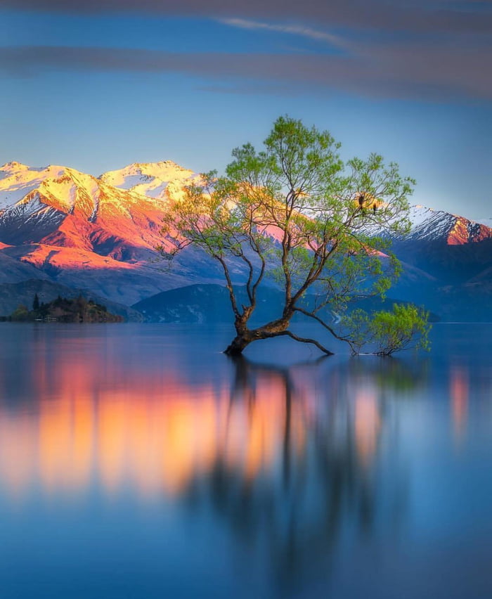 Lone tree ~ Lake Wanaka - 9GAG