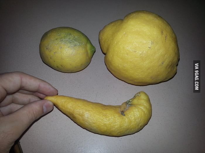 A normal sized lemon on the top left corner. These are the 2 lemons I ...