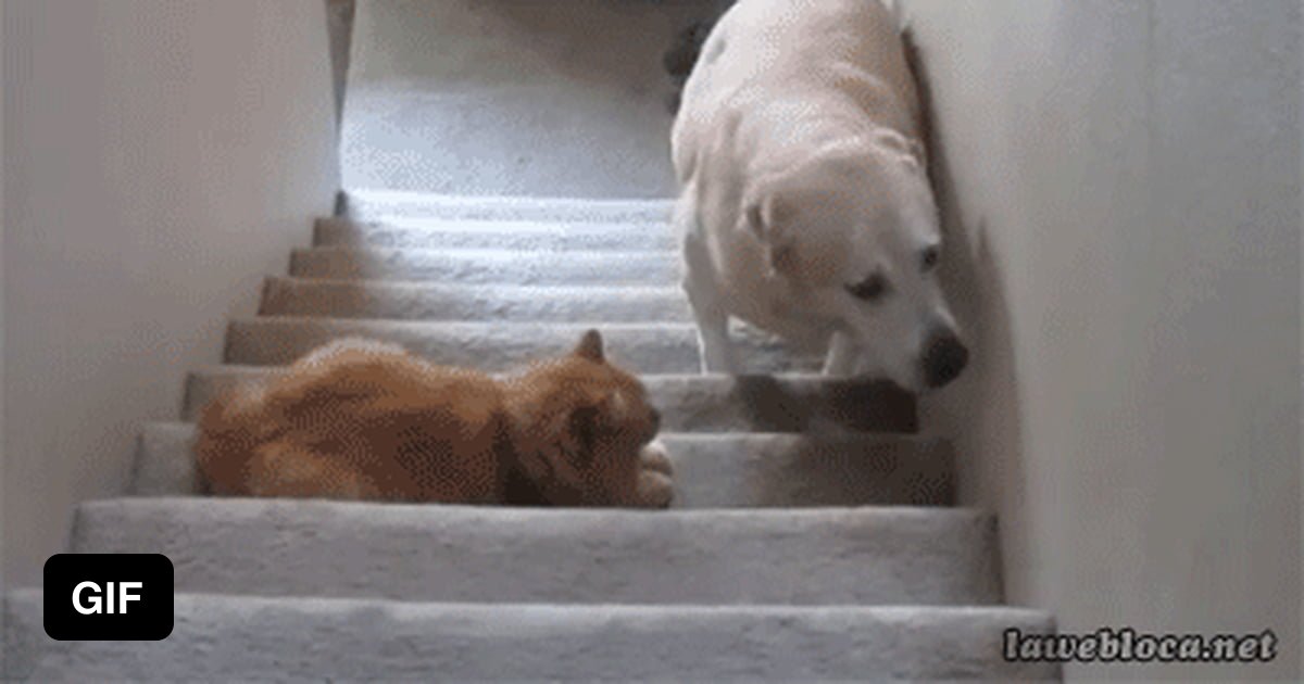 Just go already! - 9GAG
