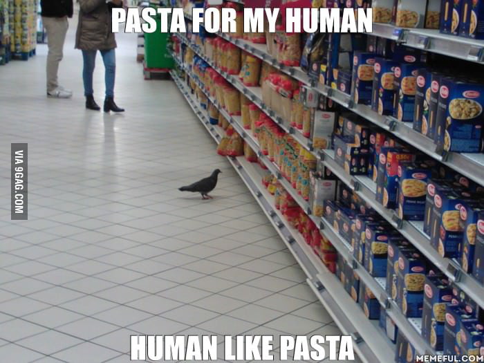 Pasta for my human. Human like pasta - 9GAG