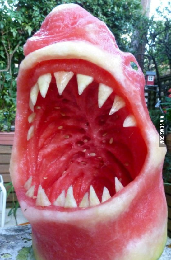 Jaws watamelon! - 9GAG